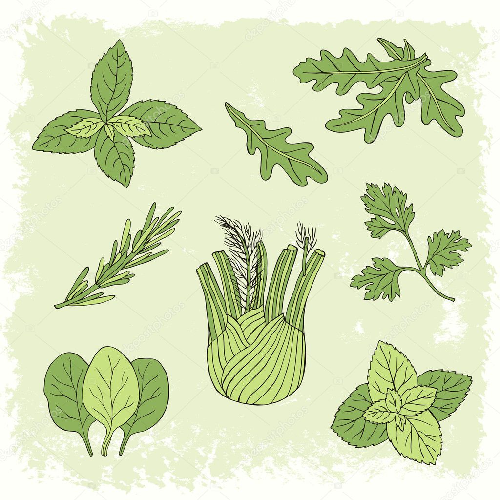 Conjunto de color de hierba Vector de stock por ©texturis 34493981