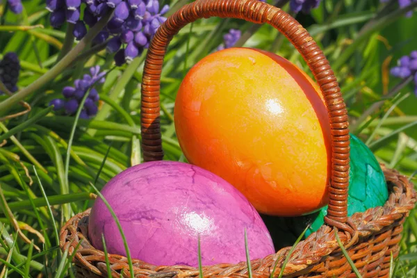 Easter eggs - Stock Image - Everypixel