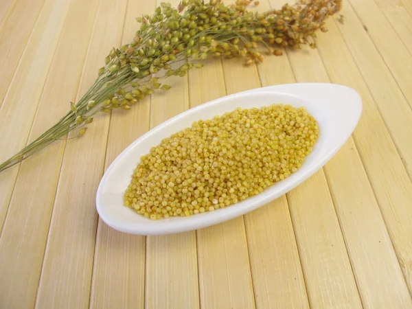 Millet grains and panicle millet — Stock Photo © HeikeRau #23665929