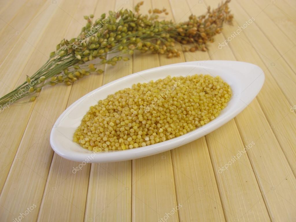 Millet grains and panicle millet — Stock Photo © HeikeRau #23665929