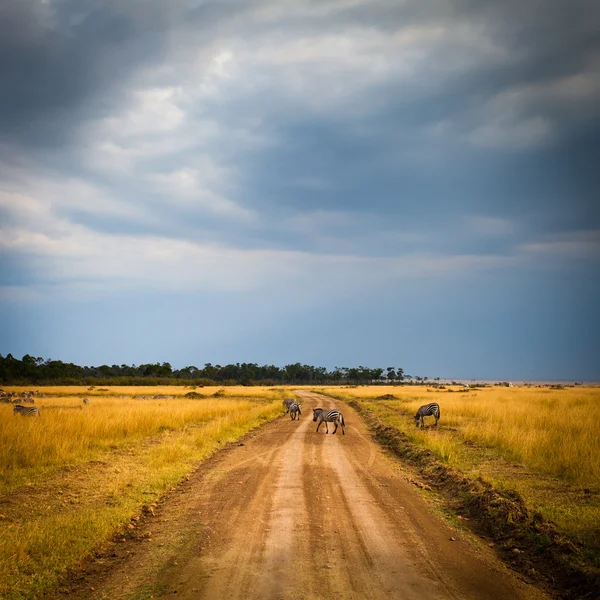 Stormy field Pictures, Stormy field Stock Photos & Images | Depositphotos®