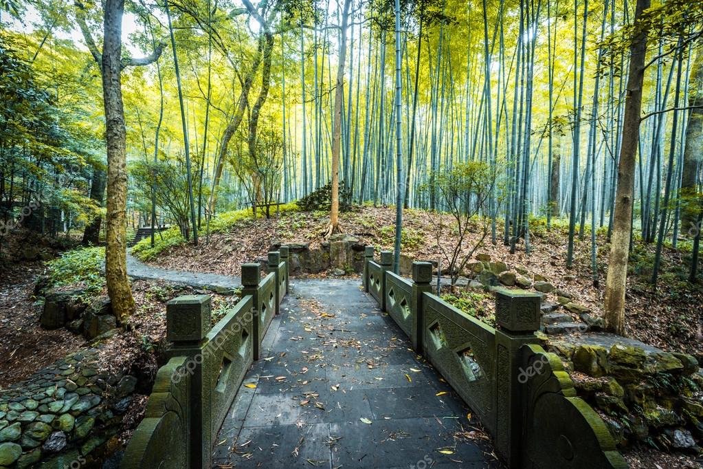 Pathway in the park Stock Photo by ©zhudifeng 29910359