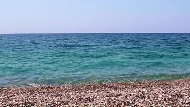 Vidéos pour Plage de mer, Plage de mer clips vidéo HD / 4K, footage ...