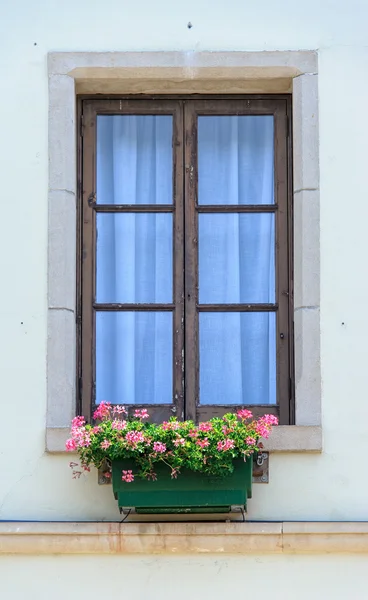 Windows with flowers — Stock Photo © Pixelery.com #12412705