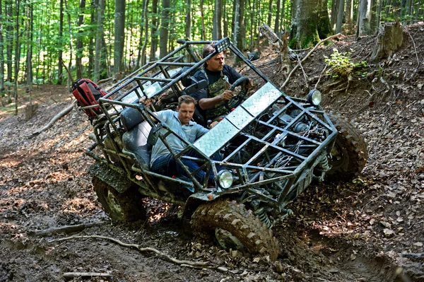 Bugs machine Images, Royalty-free Stock Bugs machine Photos & Pictures ...