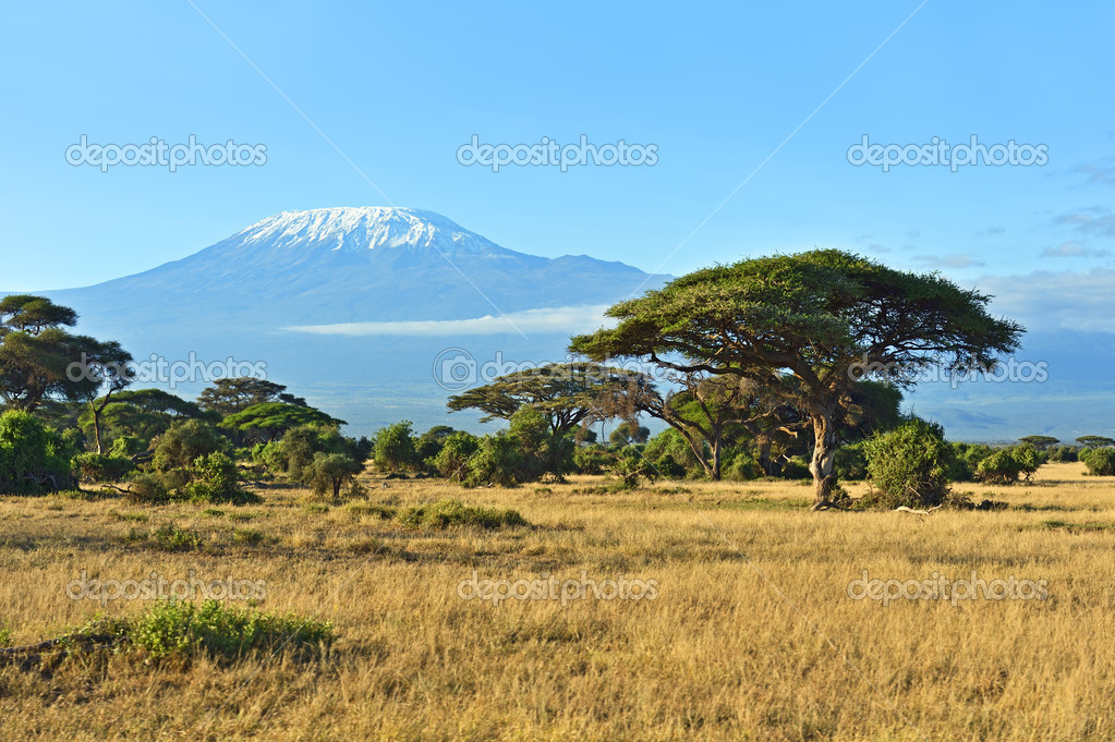 Amboseli National Park — Stock Photo © kyslynskyy #46172383