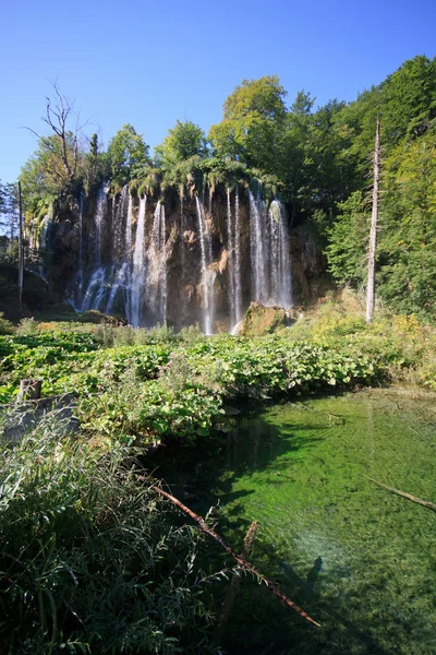 Chutes de Tatinga Falls Comoros islands — Stock Photo © leksele #34238967