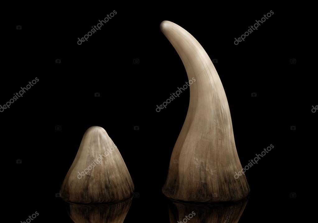 Cuerno de rinoceronte — Foto de stock #43486859 © paulfleet