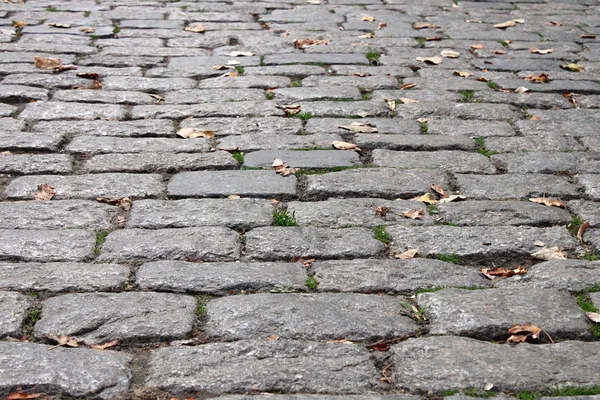 Victorian Cobblestone Texture Cobblestone Pavers, Cobble Stone Paving