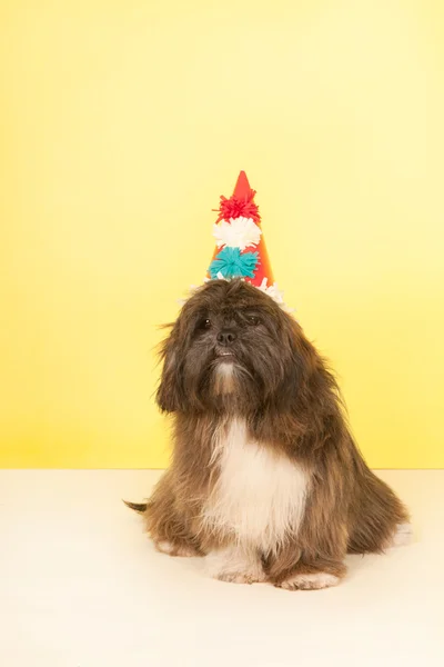 Laso Stock Photos, Royalty Free Laso Images | Depositphotos®