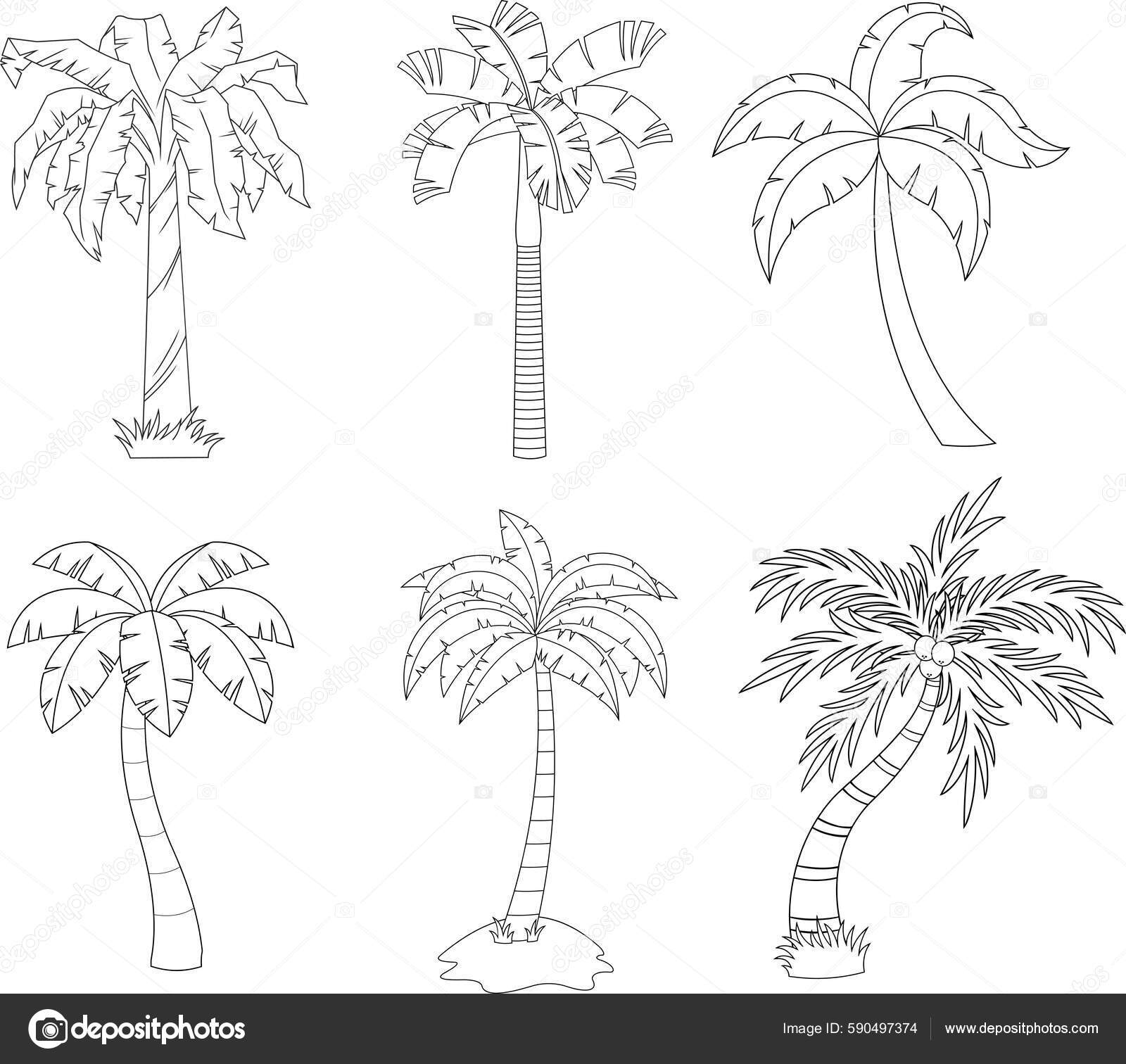 Outlined Cartoon Different Tropical Palm Trees Raster Hand Drawn ...
