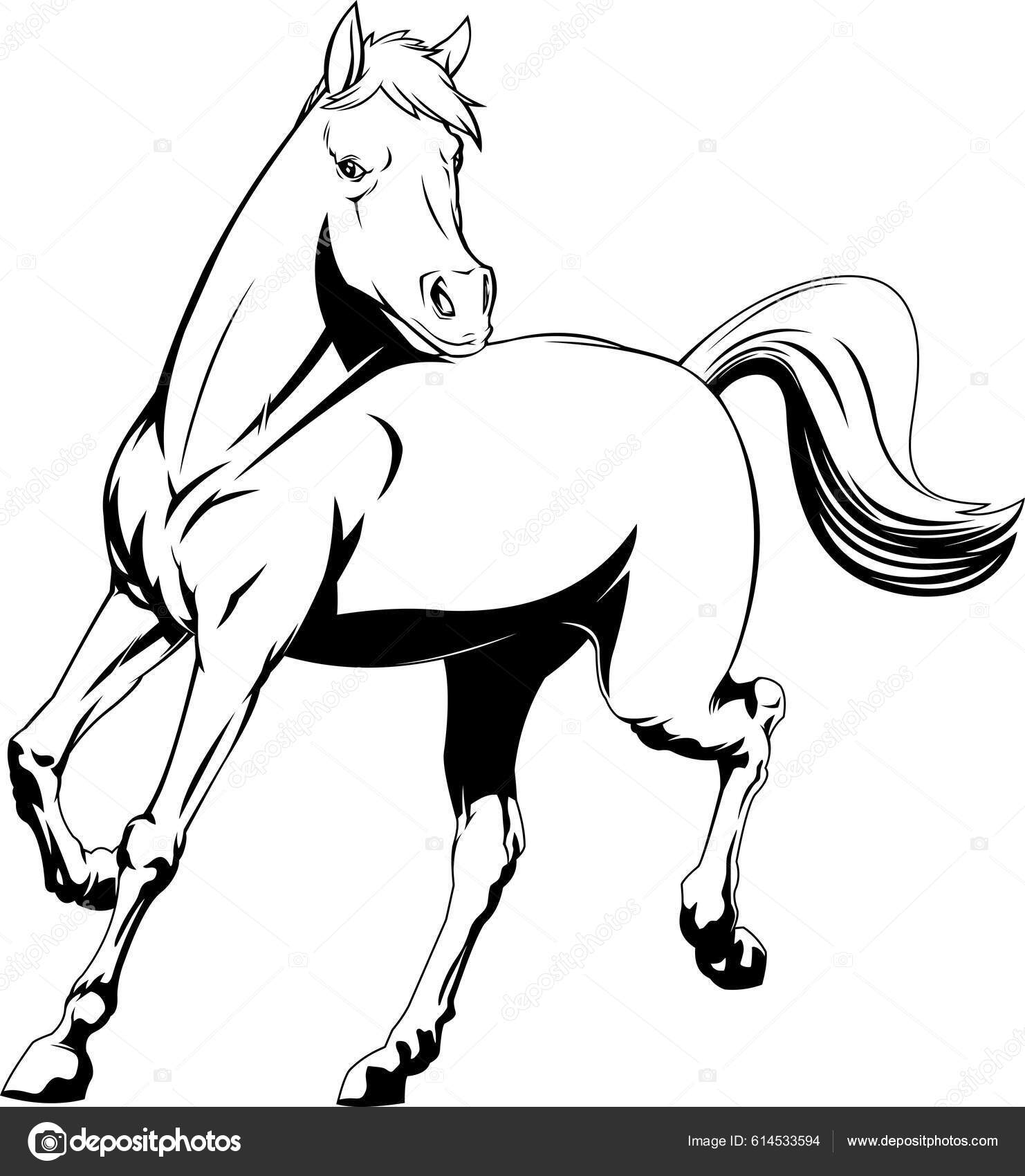 Ilustração Cavalo Vector Isolado Fundo Branco imagem vetorial de ...