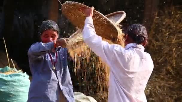 Local woman sieving, — Stock Video © kagemusha #38906827