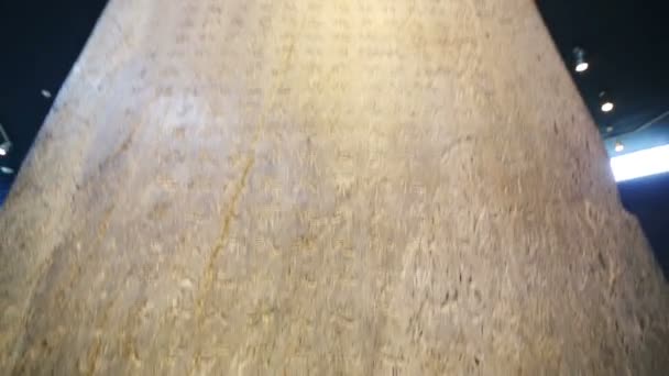 Orkhon inscriptions, oldest turkic monuments ⬇ Video by © kagemusha ...