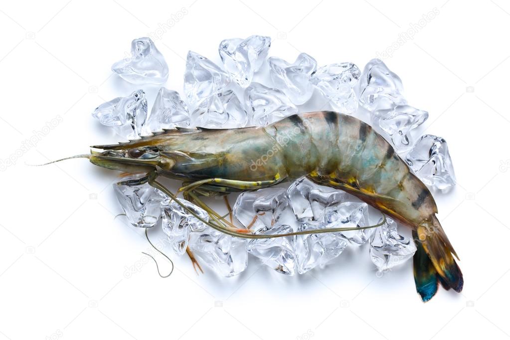 Tiger shrimp on ice cubes — Stock Photo © jirkaejc #38466447