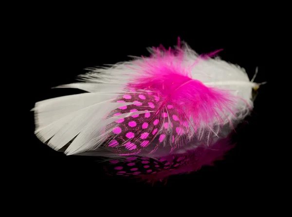 Angel, — Stock Photo © Kris #10581898