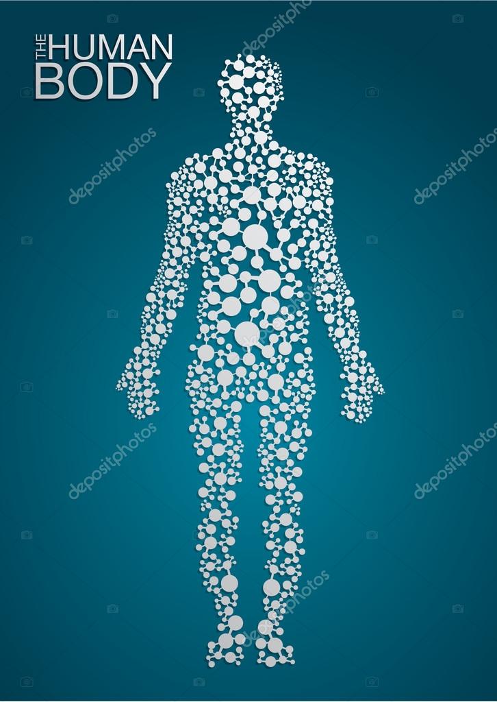 The Human Body concept Stock Vector by ©archymeder 47874323