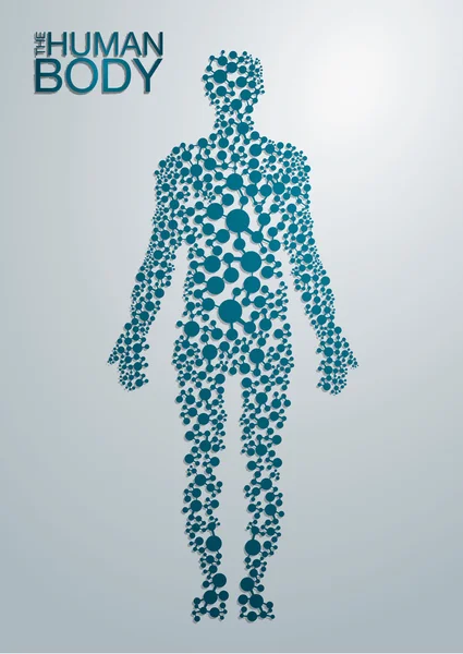 Healthy body Vector Art Stock Images | Depositphotos