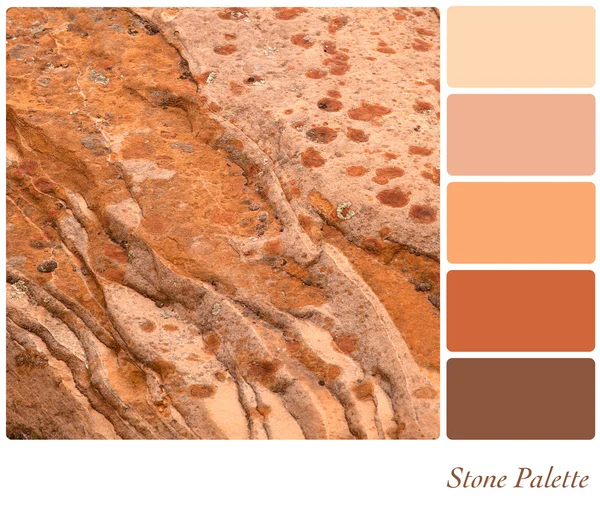 Natural color palette Stock Photos, Royalty Free Natural color palette ...