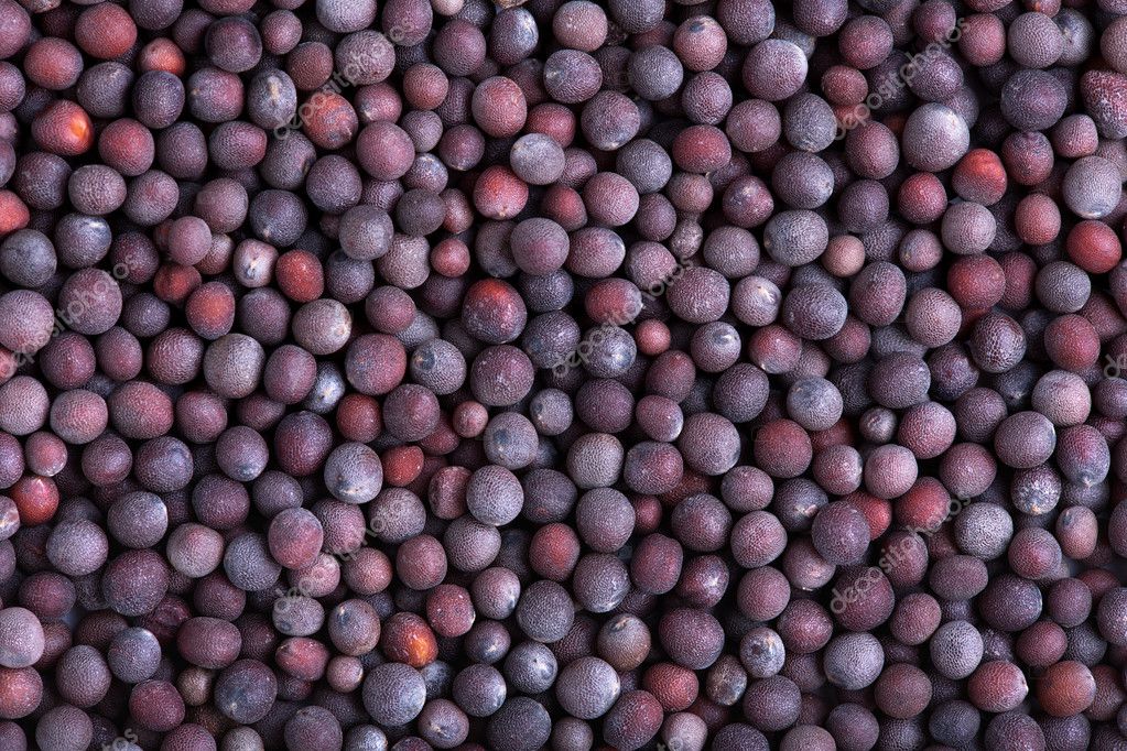 Mustard seed background — Stock Photo © rixipix #16905807