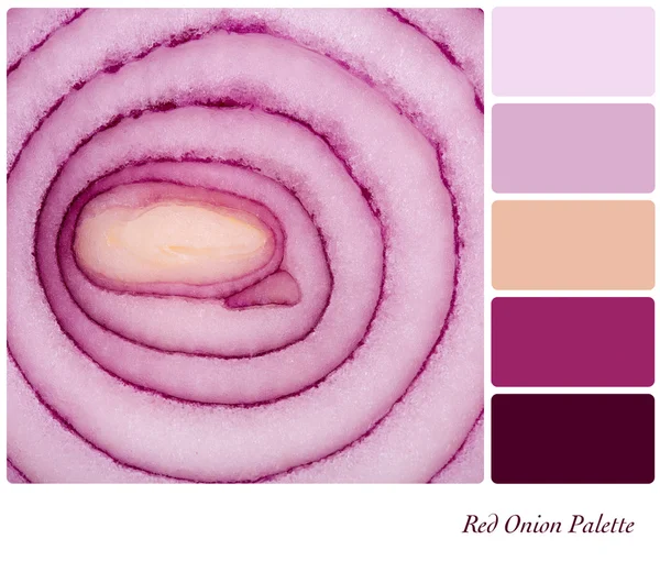 Color palette Stock Photos, Royalty Free Color palette Images ...
