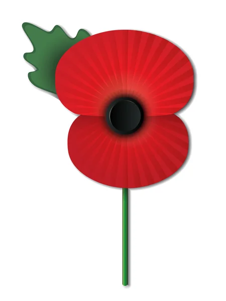 Poppy appeal Vector Art Stock Images | Depositphotos