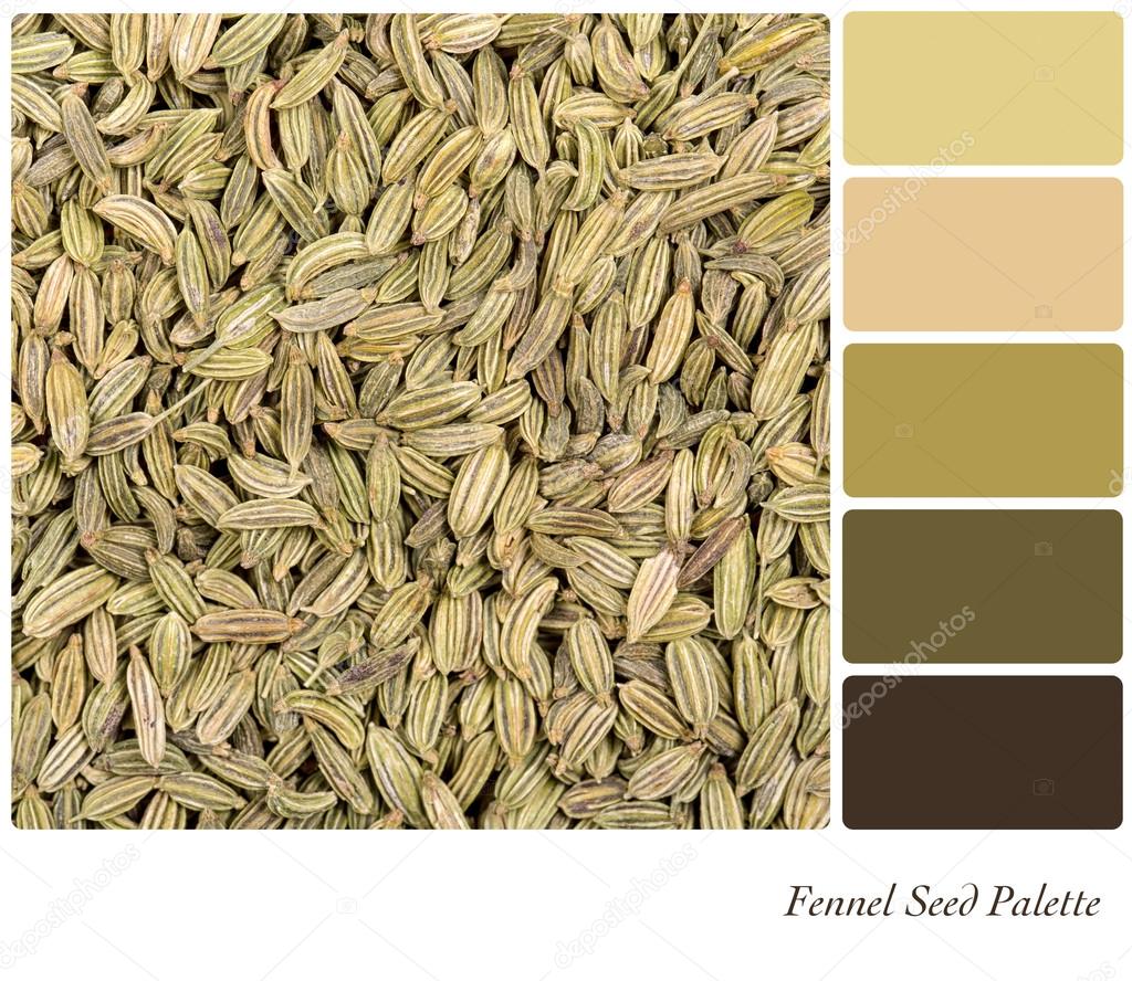Fennel Seed Palette Stock Photo by ©rixipix 26816329