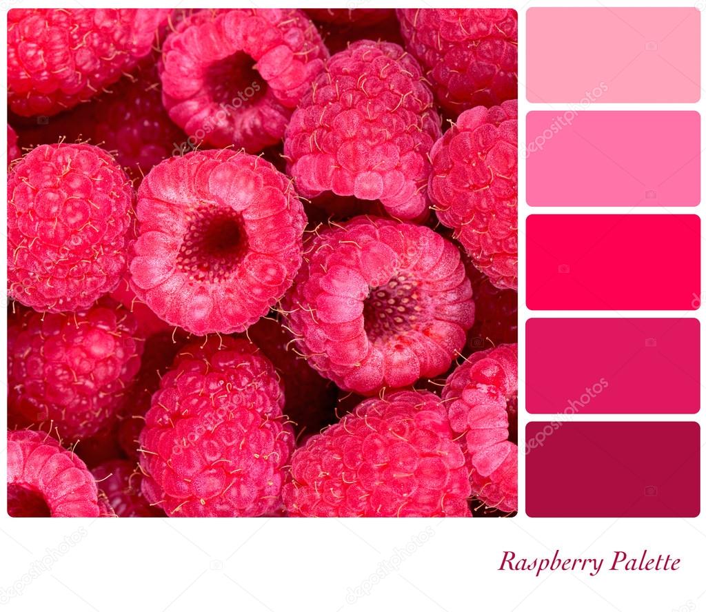 Raspberry Palette — Stock Photo © rixipix #30224179