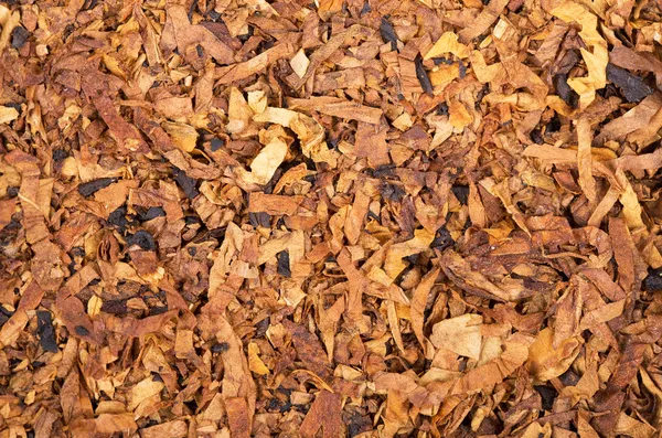 Tabacco Stock Photos, Royalty Free Tabacco Images | Depositphotos®