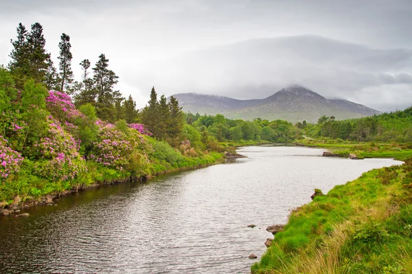 Conamara Stock Photos, Royalty Free Conamara Images | Depositphotos