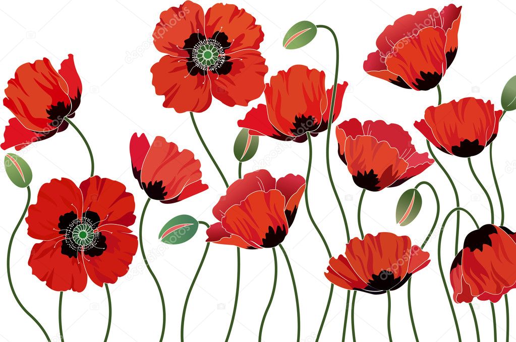 Poppies Stock Vector Image by ©Mikhaylova #43439687
