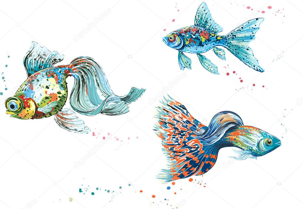 Colorful fish Stock Vector by ©Mikhaylova 47844355