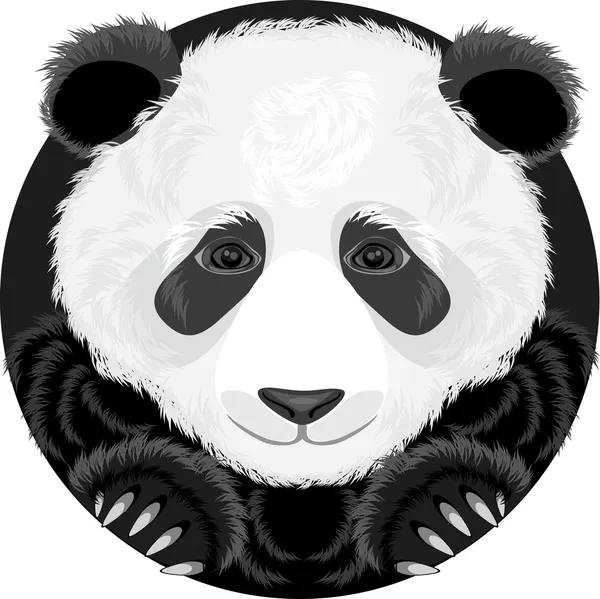 Avatar panda Vector Art Stock Images | Depositphotos