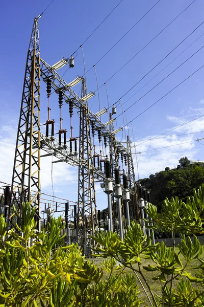 Fiji electricity Stock Photos, Royalty Free Fiji electricity Images ...