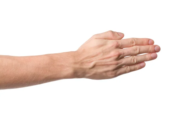 Man's palm faced to camera Stock Photo by ©Speedskater 24090025