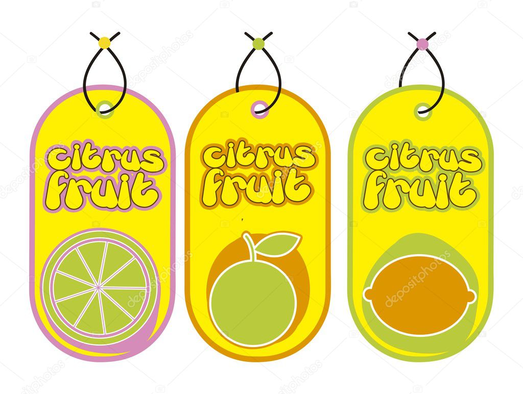 Citrus labels Stock Vector Image by ©yupiramos #20530447