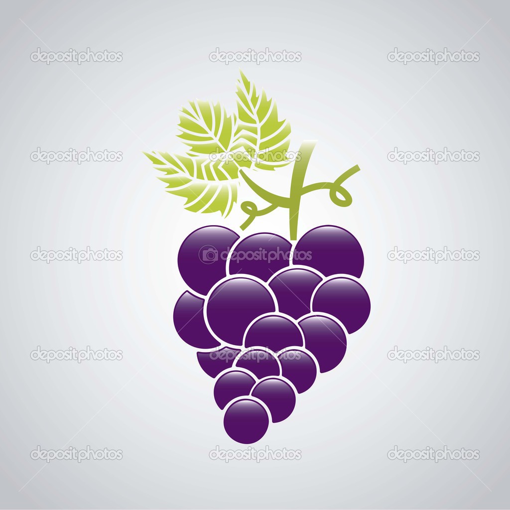 Grape fruit Stock Vector by ©yupiramos 22796018