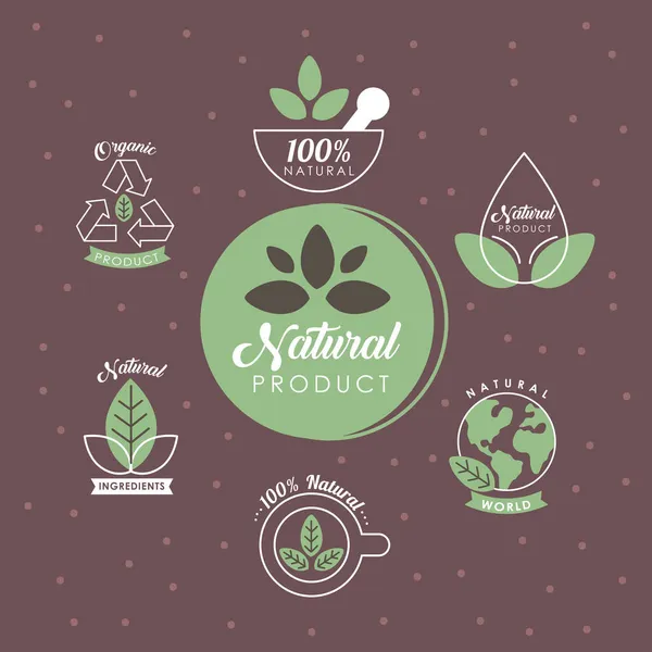 Two natural labels Stock Vector by ©yupiramos 527811630