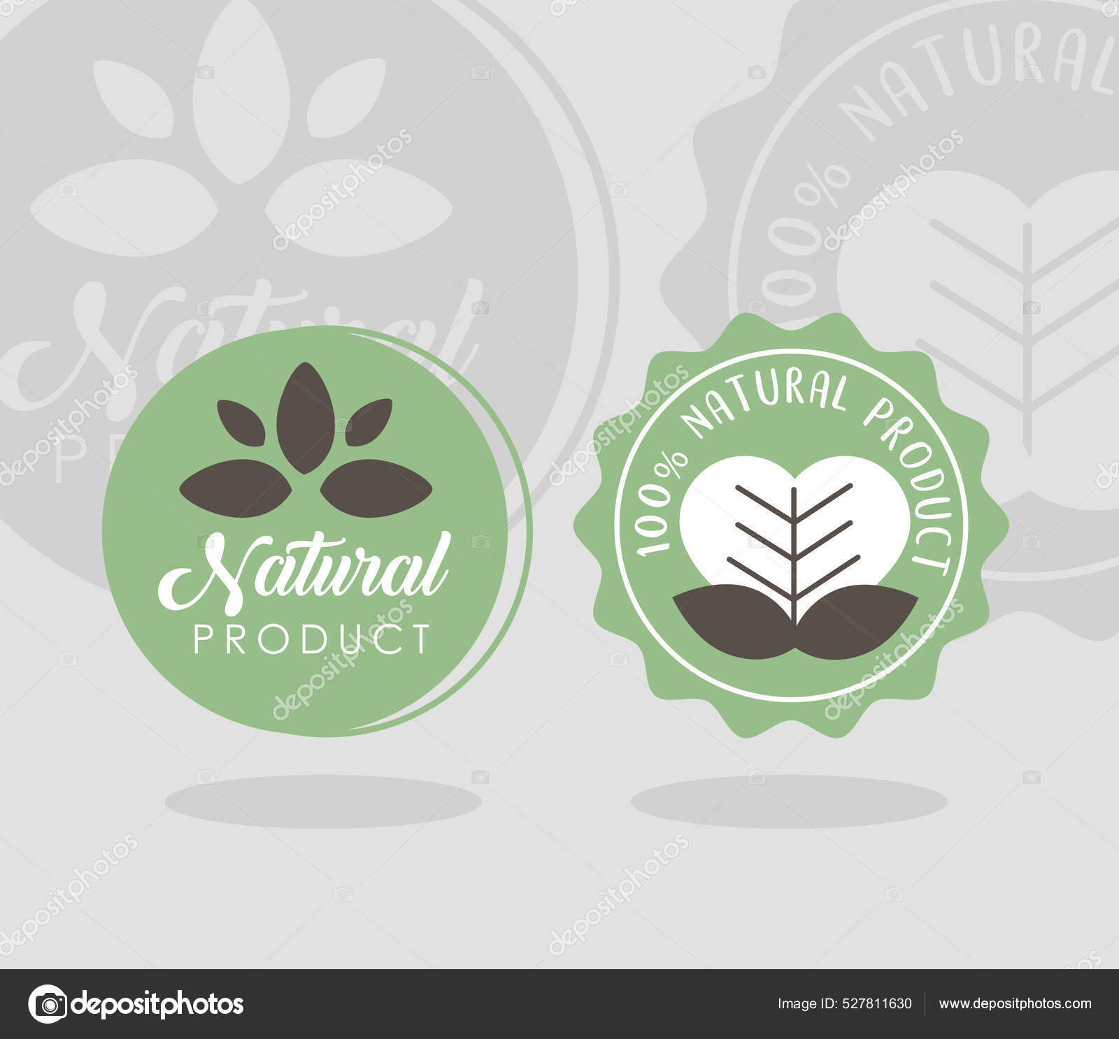 Two natural labels Stock Vector by ©yupiramos 527811630