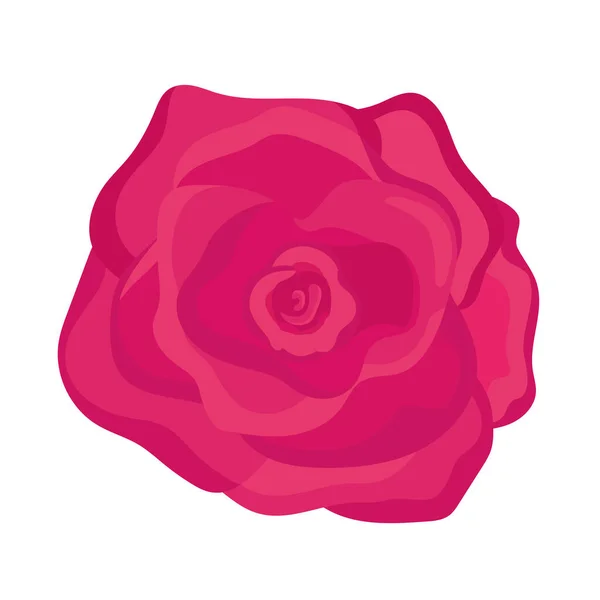 21,086,469 Piktogramm rose Vector Images | Depositphotos
