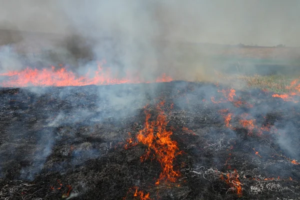 Prairie fire Stock Photos, Royalty Free Prairie fire Images | Depositphotos