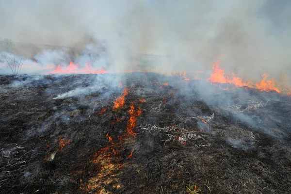 Prairie fire Stock Photos, Royalty Free Prairie fire Images | Depositphotos