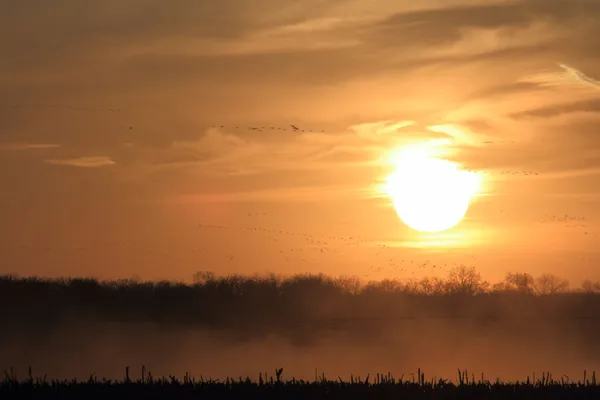 Nebraska sunrise Stock Photos, Royalty Free Nebraska sunrise Images ...