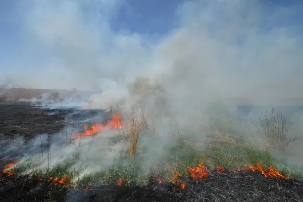 Prairie fire Stock Photos, Royalty Free Prairie fire Images | Depositphotos