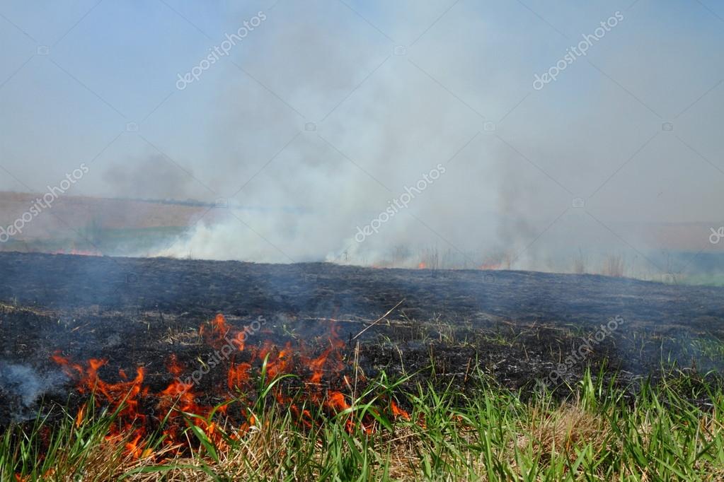 Prairie Fire Stock Photo by ©georgeburba 17002073
