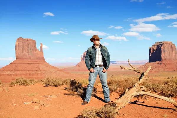 Cowboy spirit — Stock Photo © ventdusud #25395701
