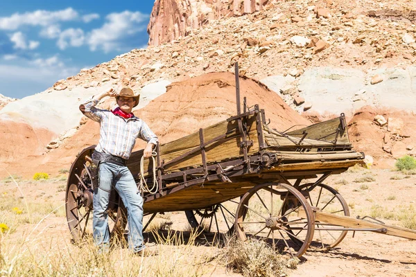 Cowboy spirit — Stock Photo © ventdusud #25395701