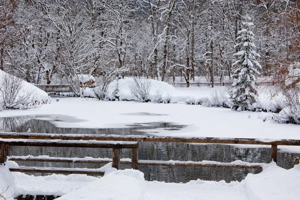 Snowy Alpine forest and frozen river - Stock Image - Everypixel