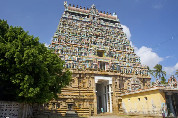 Mariamma Stock Photos, Royalty Free Mariamma Images | Depositphotos