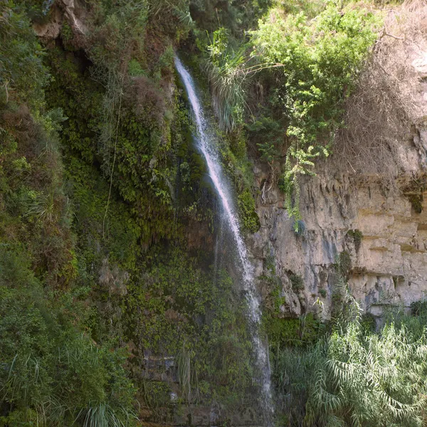 El al waterfall Stock Photos, Royalty Free El al waterfall Images ...